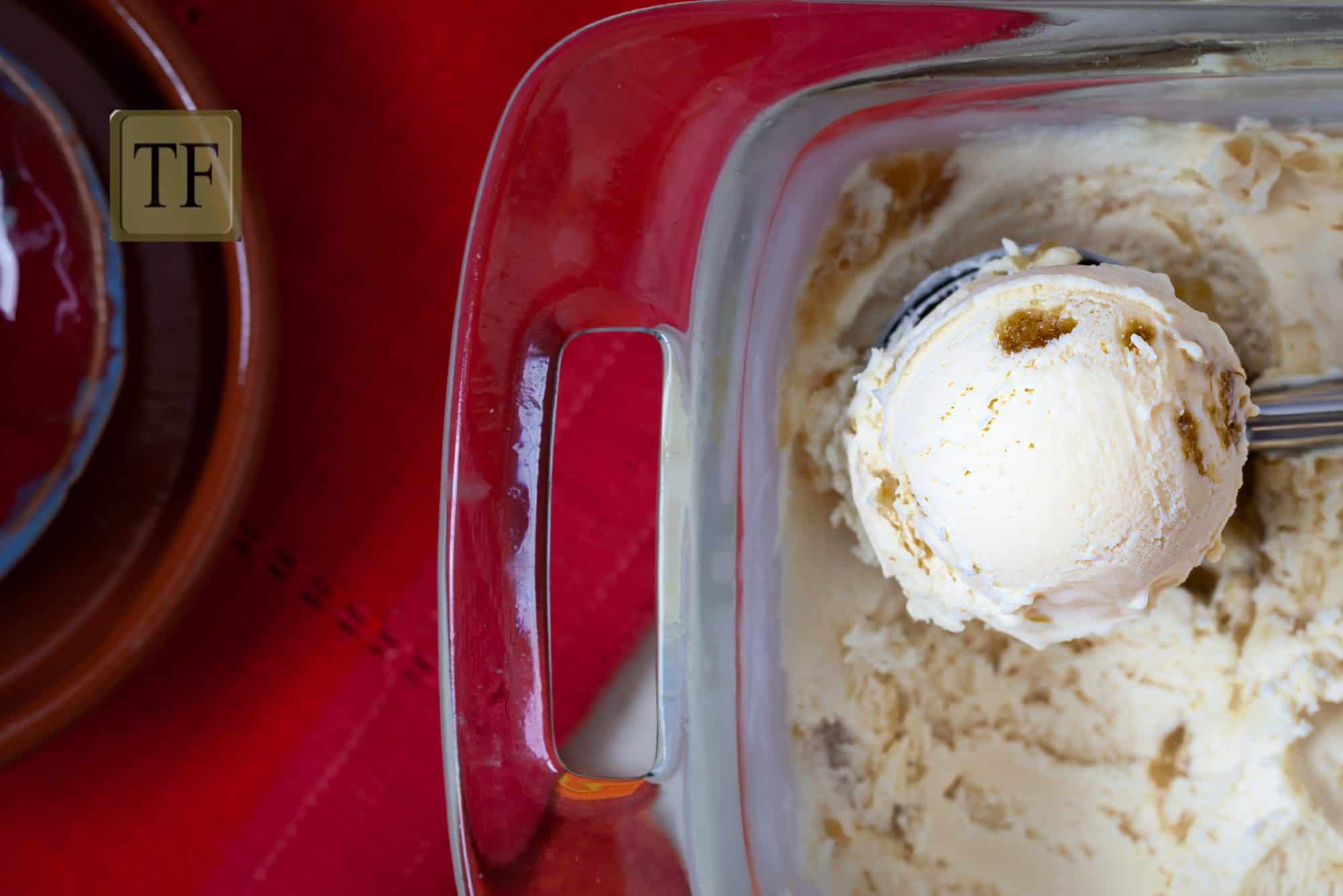 Prickly Pear Ice Cream Recipe